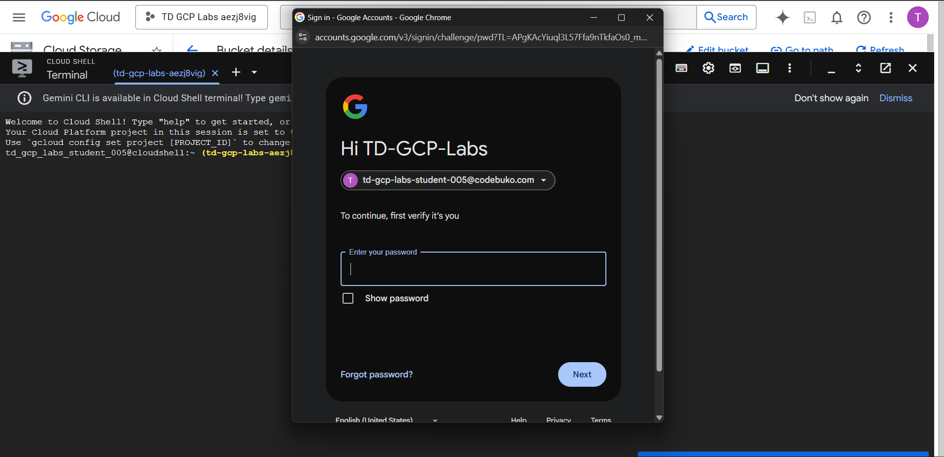 Guided Lab: Managing Cloud Storage Buckets via SSH Commands - Tutorials ...