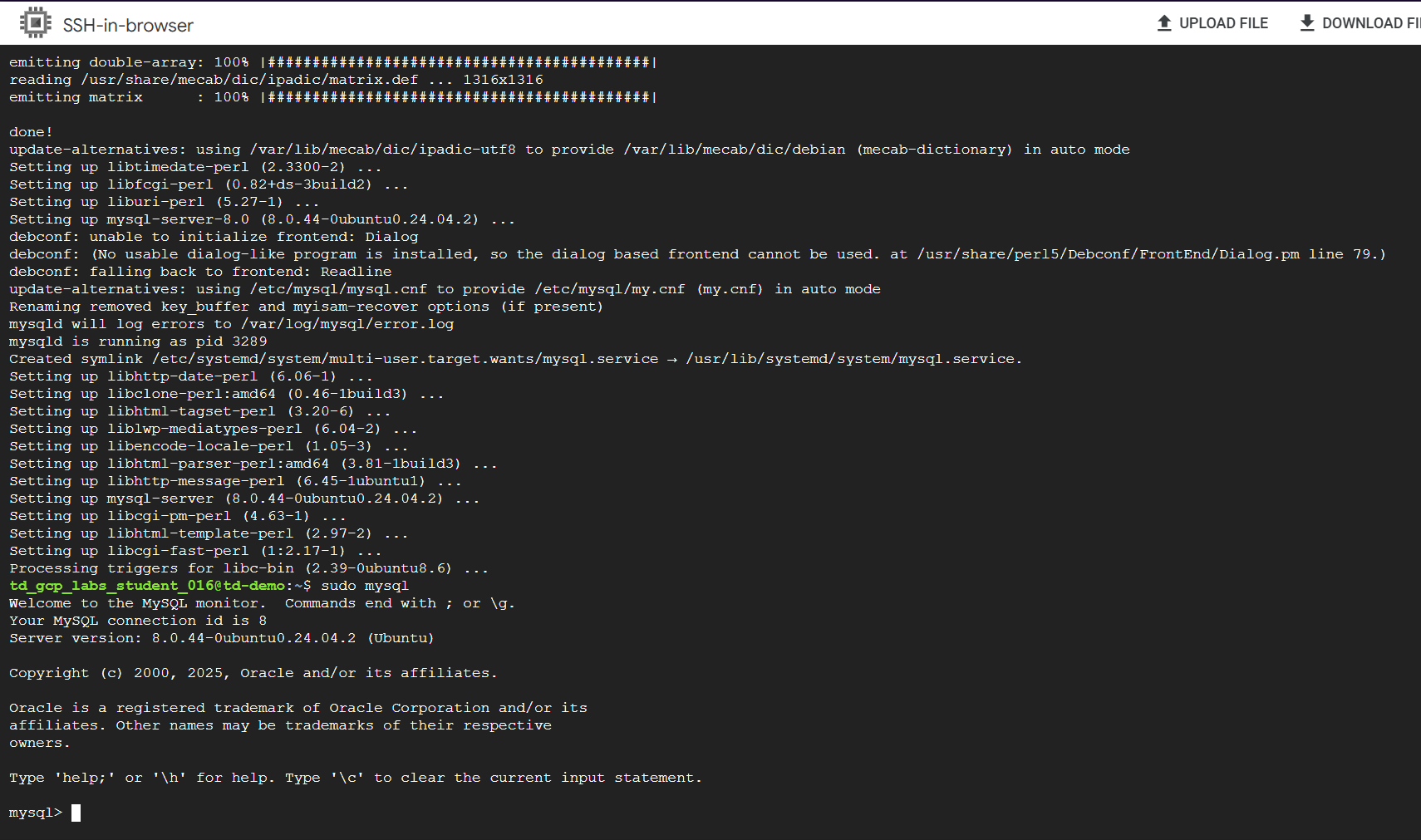 Guided Lab: Setting Up and Managing a Database on a VM Instance ...