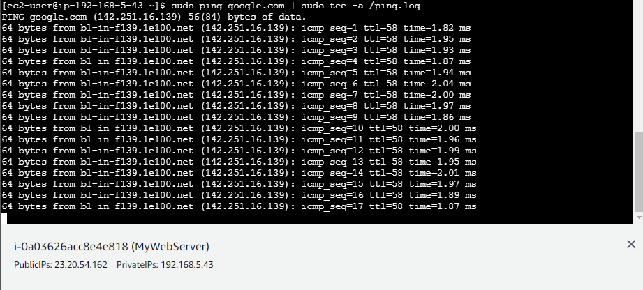 Guided Lab: Setting Up CloudWatch Agent to Monitor Server Logs - Tutorials Dojo