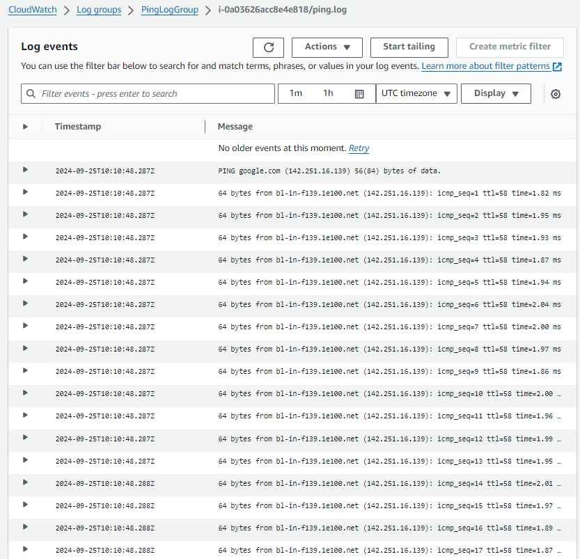 Guided Lab: Setting Up CloudWatch Agent to Monitor Server Logs - Tutorials Dojo